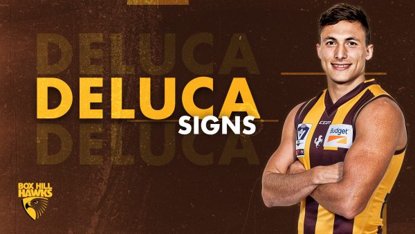 Deluca joins the Hawks - Box Hill Hawks