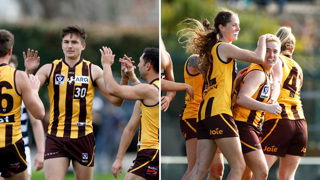 2025 VFL Fixture Revealed - Box Hill Hawks