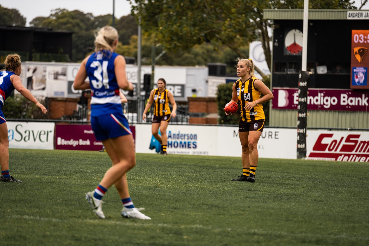 2025 VFL Fixture Revealed - Box Hill Hawks